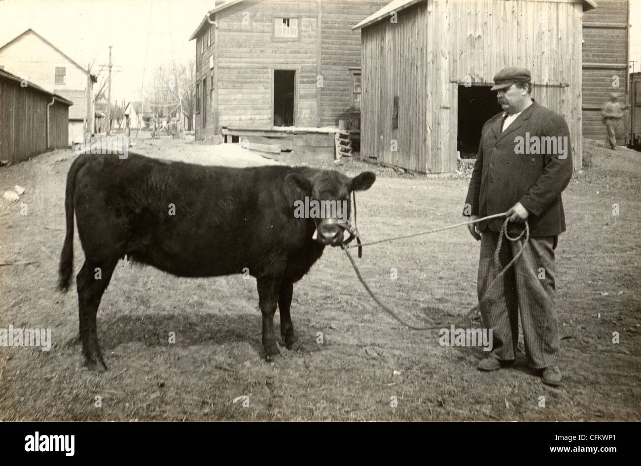 Look-alike Farmer & Cow Duo Stock Photo - Alamy