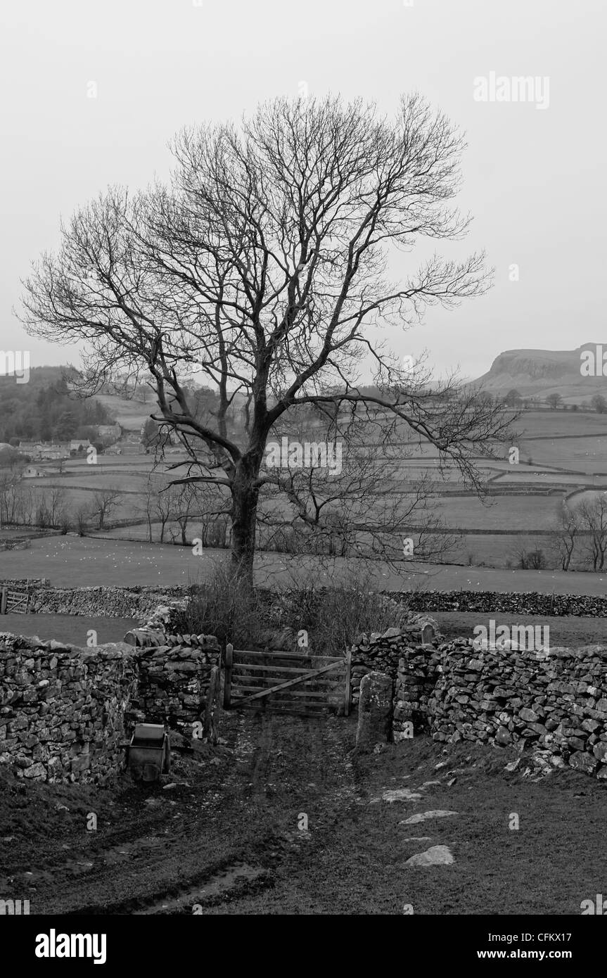 Typical landscape in Yorkshire Dales National Park in Great Britain ...