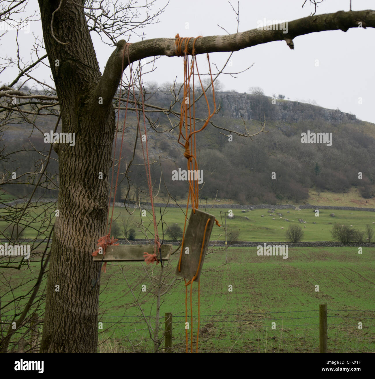 Tree swing hi-res stock photography and images - Alamy