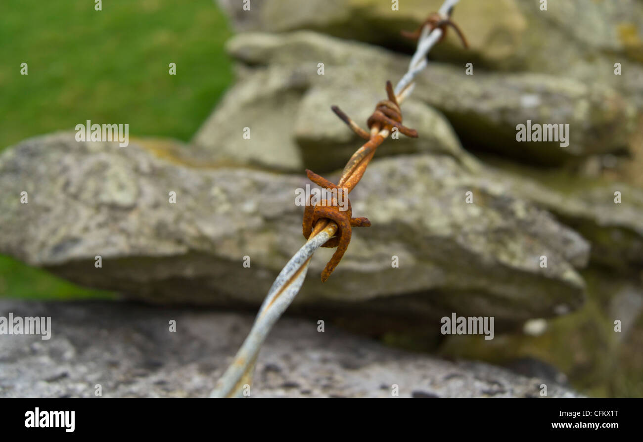 Closeup of barbed wire on a dry stone wall Stock Photo - Alamy
