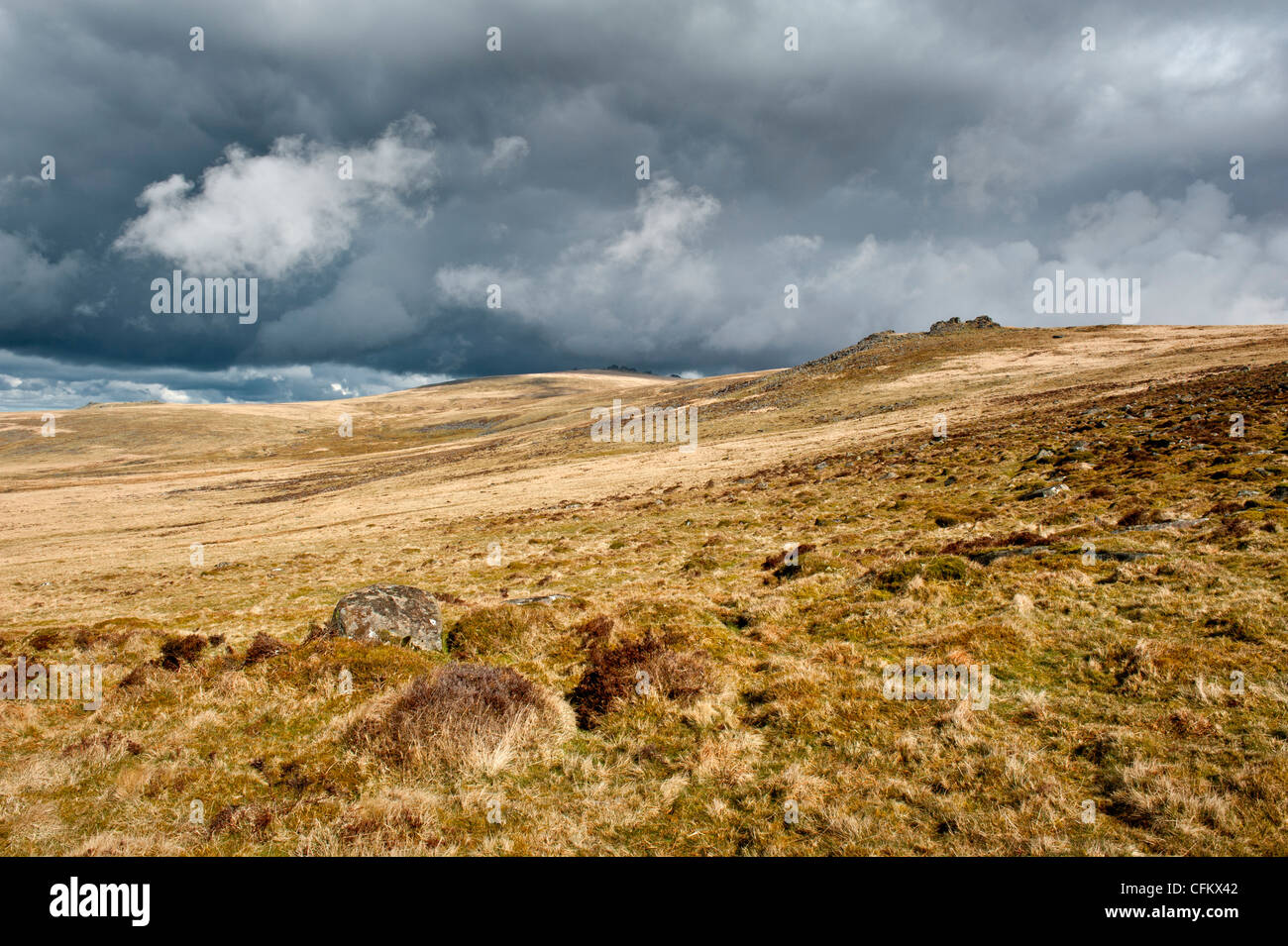 Dartmoor landscape showing Sharp Tor, Acid grass and views Stock Photo ...
