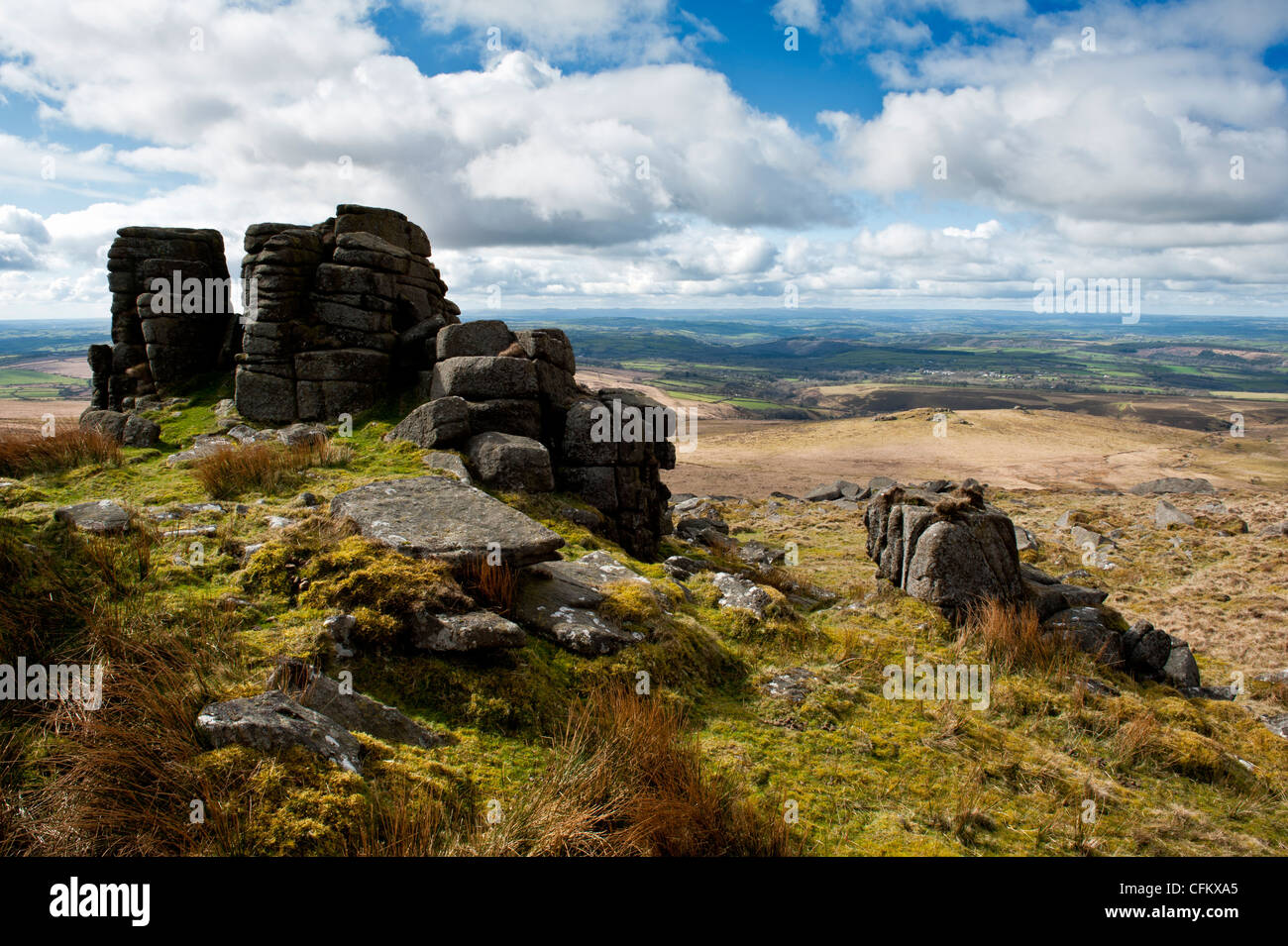 Dartmoor landscape showing Sharp Tor, Acid grass and views Stock Photo ...