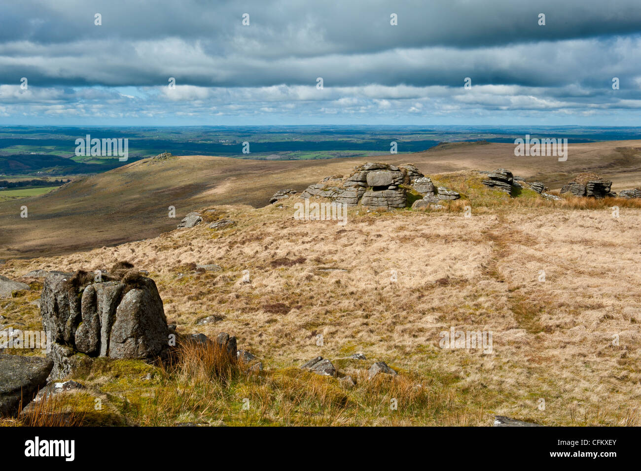 Dartmoor landscape showing Sharp Tor, Acid grass and views Stock Photo ...
