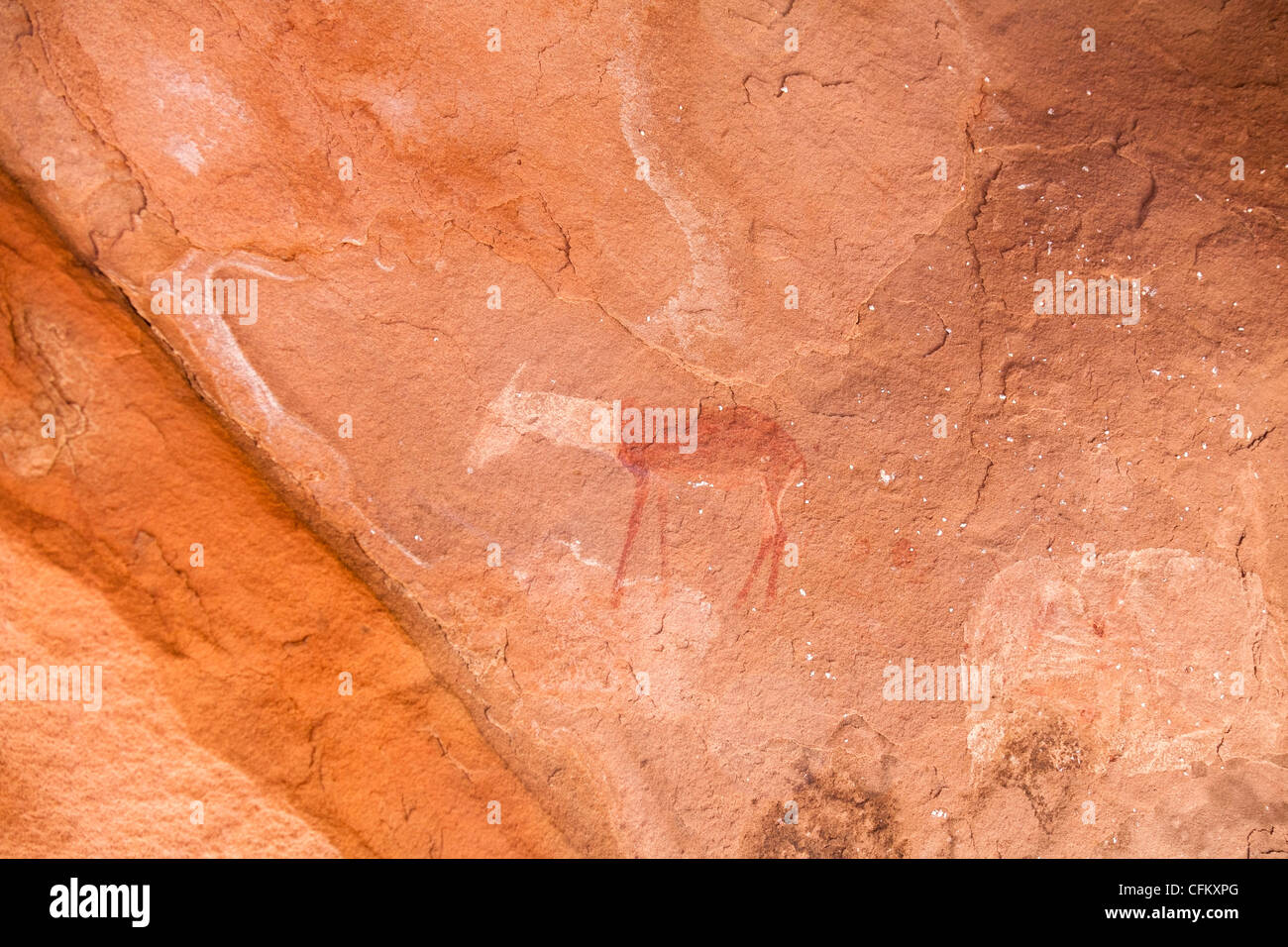 Ancient cave painting of antelope or kudu, Skeleton Coast, Namibia ...