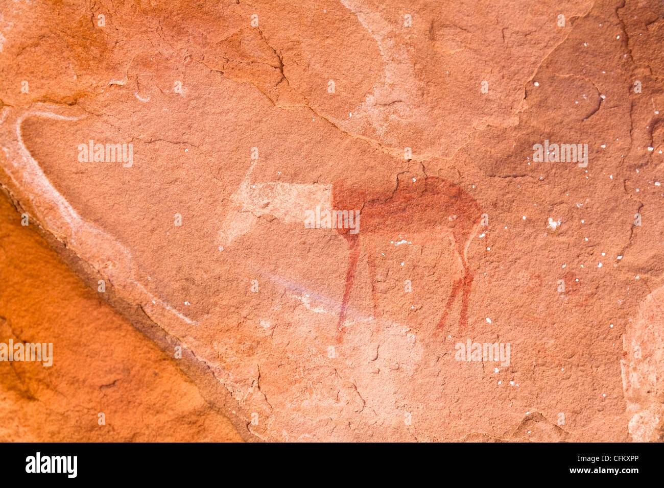 Ancient cave painting of antelope or kudu, Skeleton Coast, Namibia ...