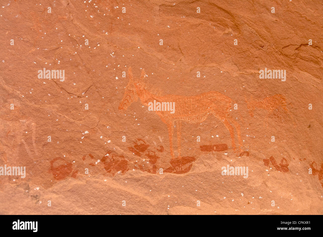 Ancient cave painting of zebra and calf, Skeleton Coast, Namibia Stock ...