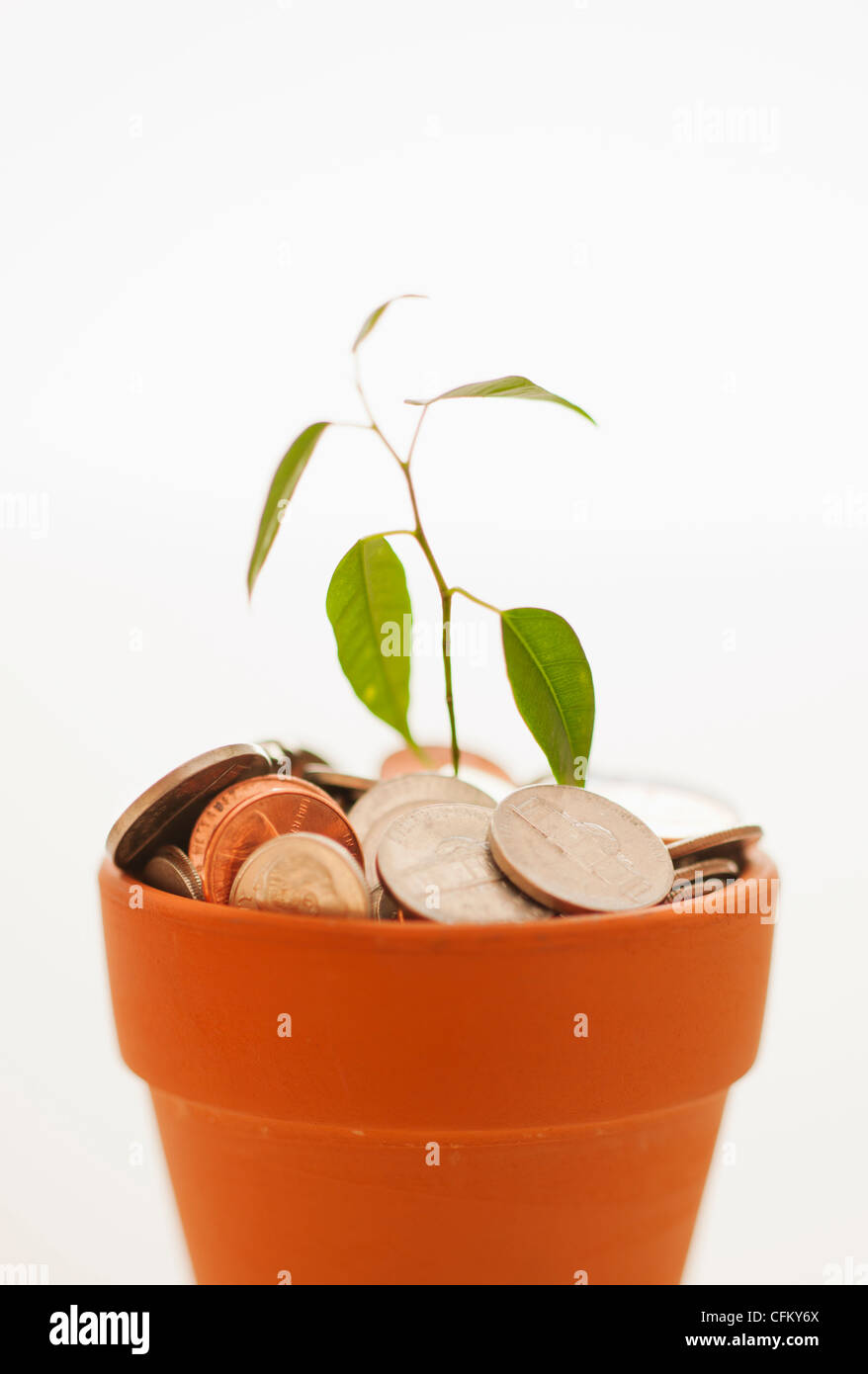 Growing money hi-res stock photography and images - Alamy