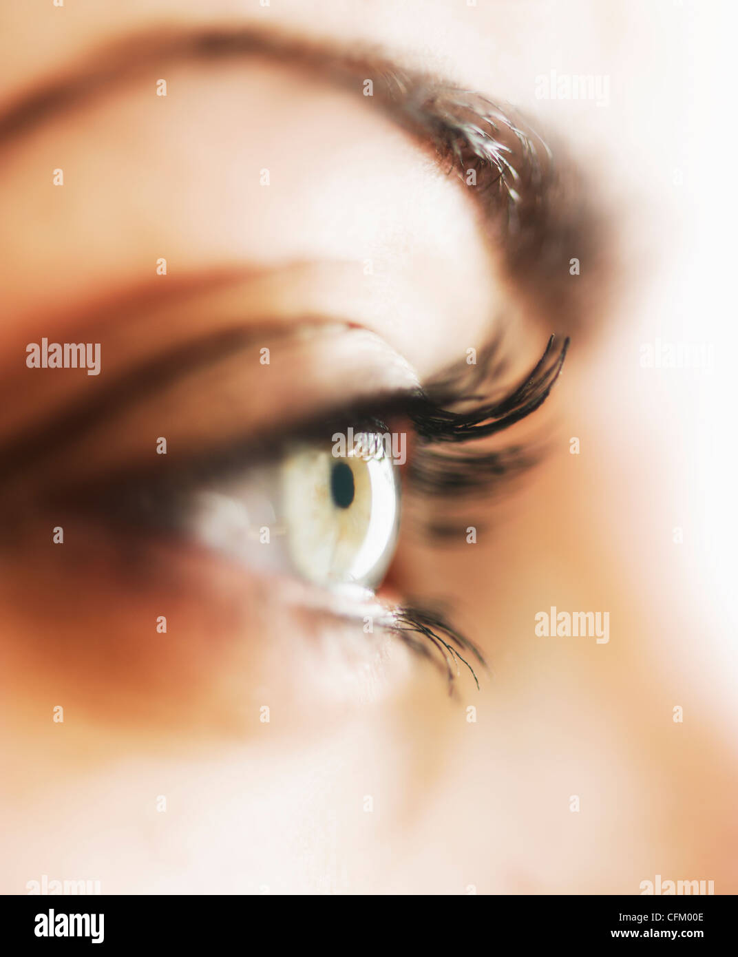Studio close-up of woman's eye Stock Photo - Alamy