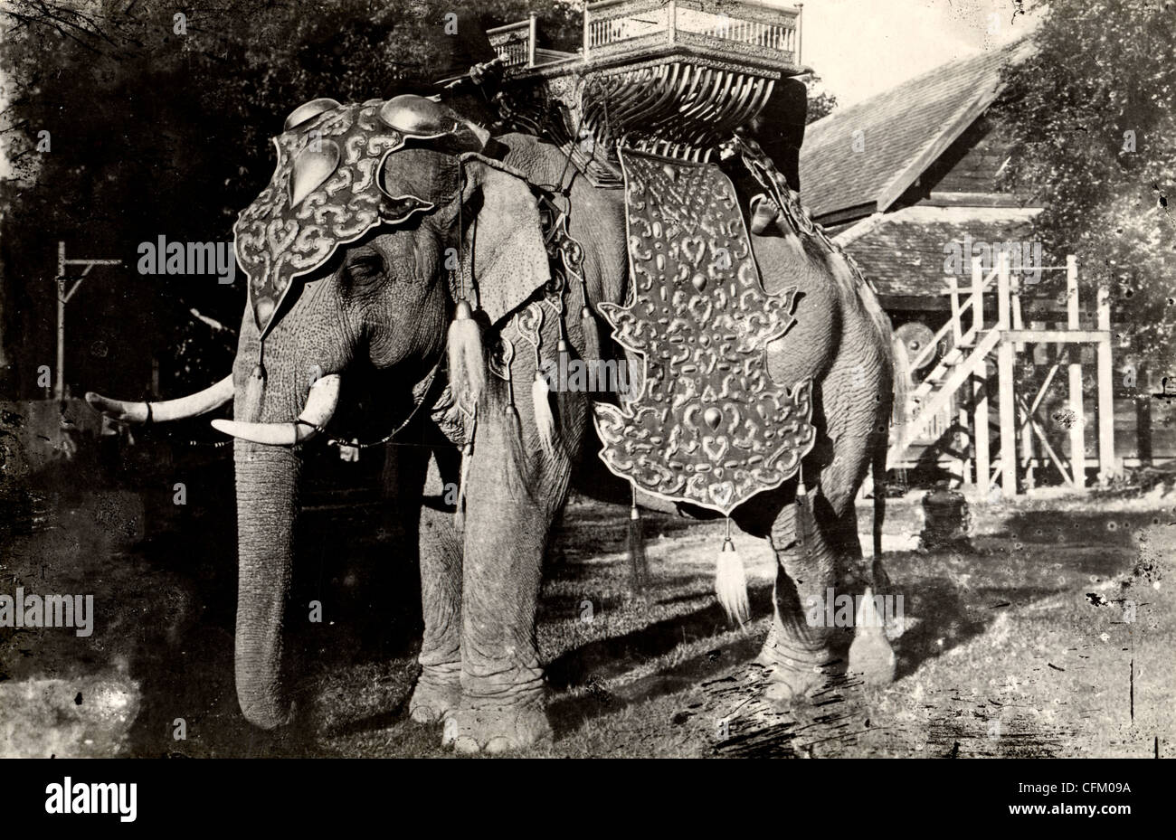 Indian Elephant with Howdah Awaiting Passengers Stock Photo - Alamy