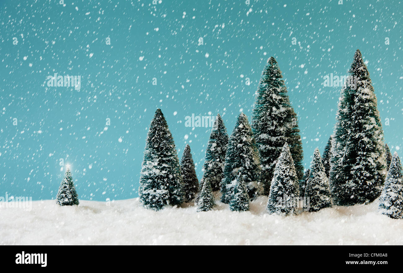 Pine trees covering by snow, studio shot Stock Photo - Alamy