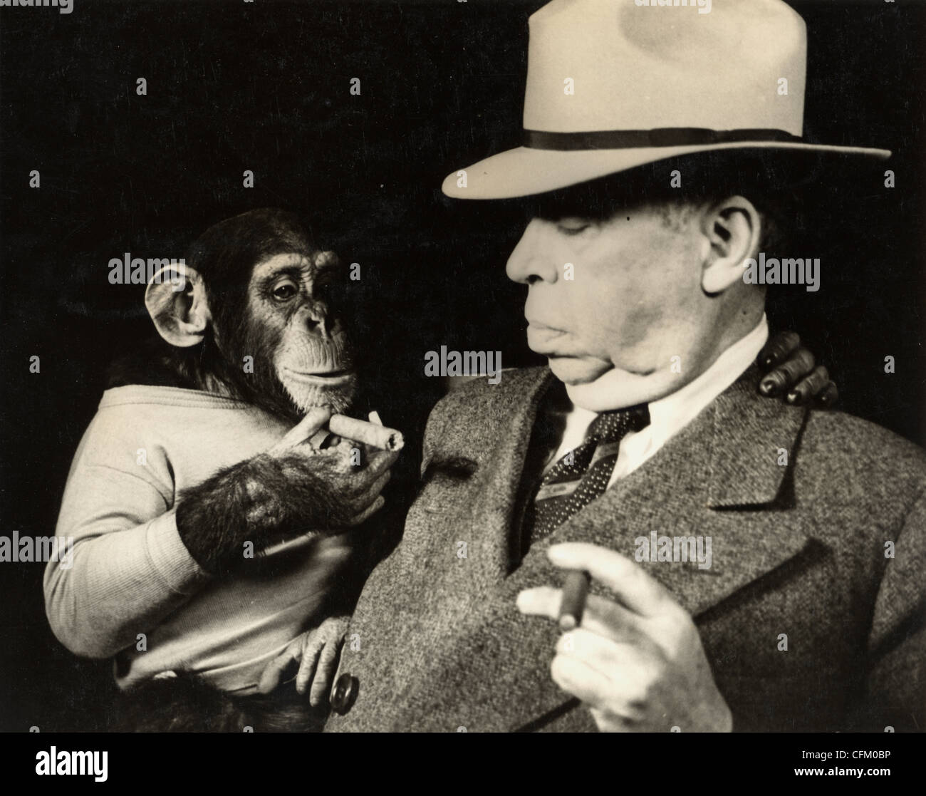 Smoking monkey hi-res stock photography and images - Alamy