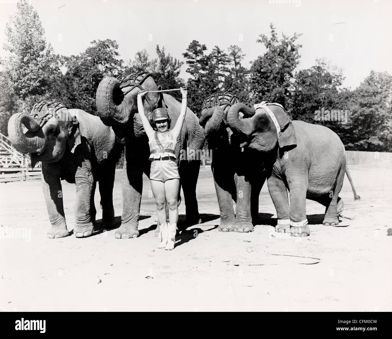 Circus elephant woman hi-res stock photography and images - Alamy
