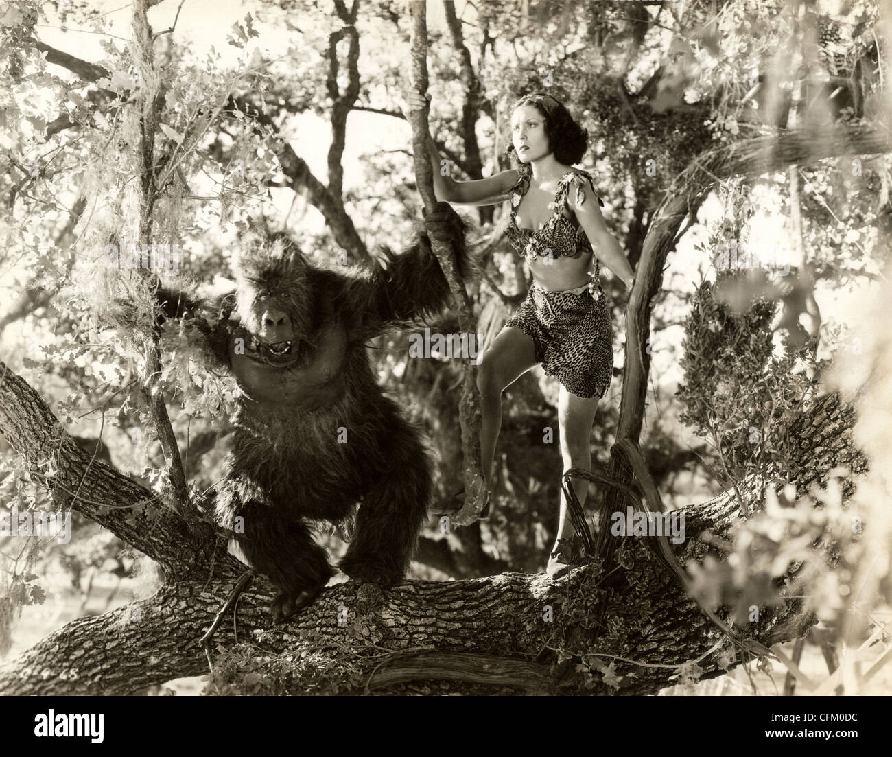 Tarzan's Jane and Gorilla Wait in Tree Stock Photo - Alamy