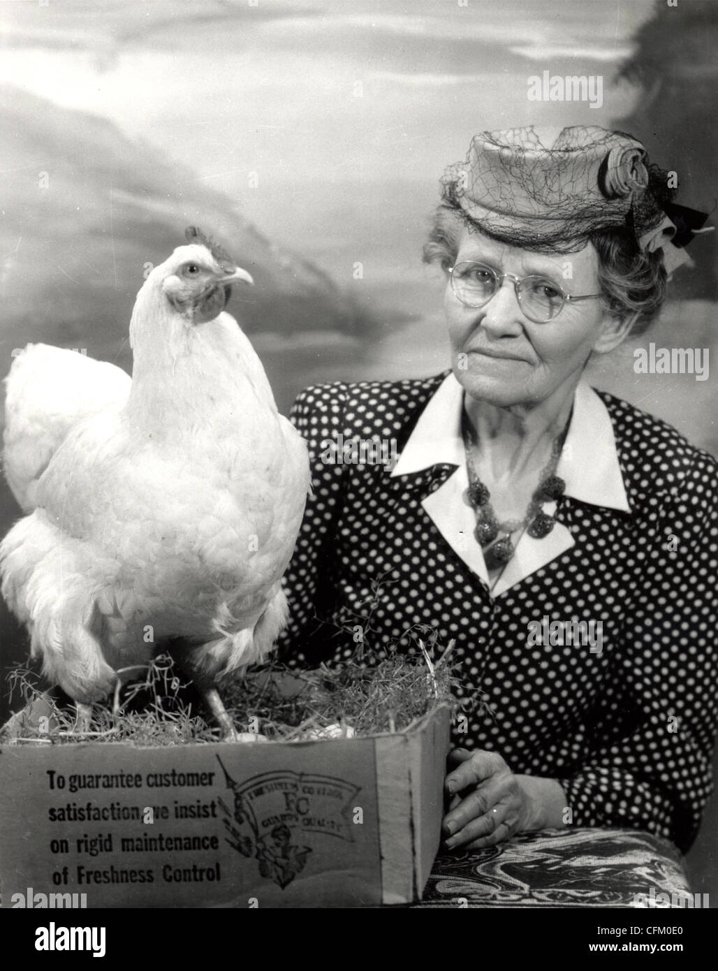 Old Lady Displaying Chicken with Eggs in Box Stock Photo - Alamy