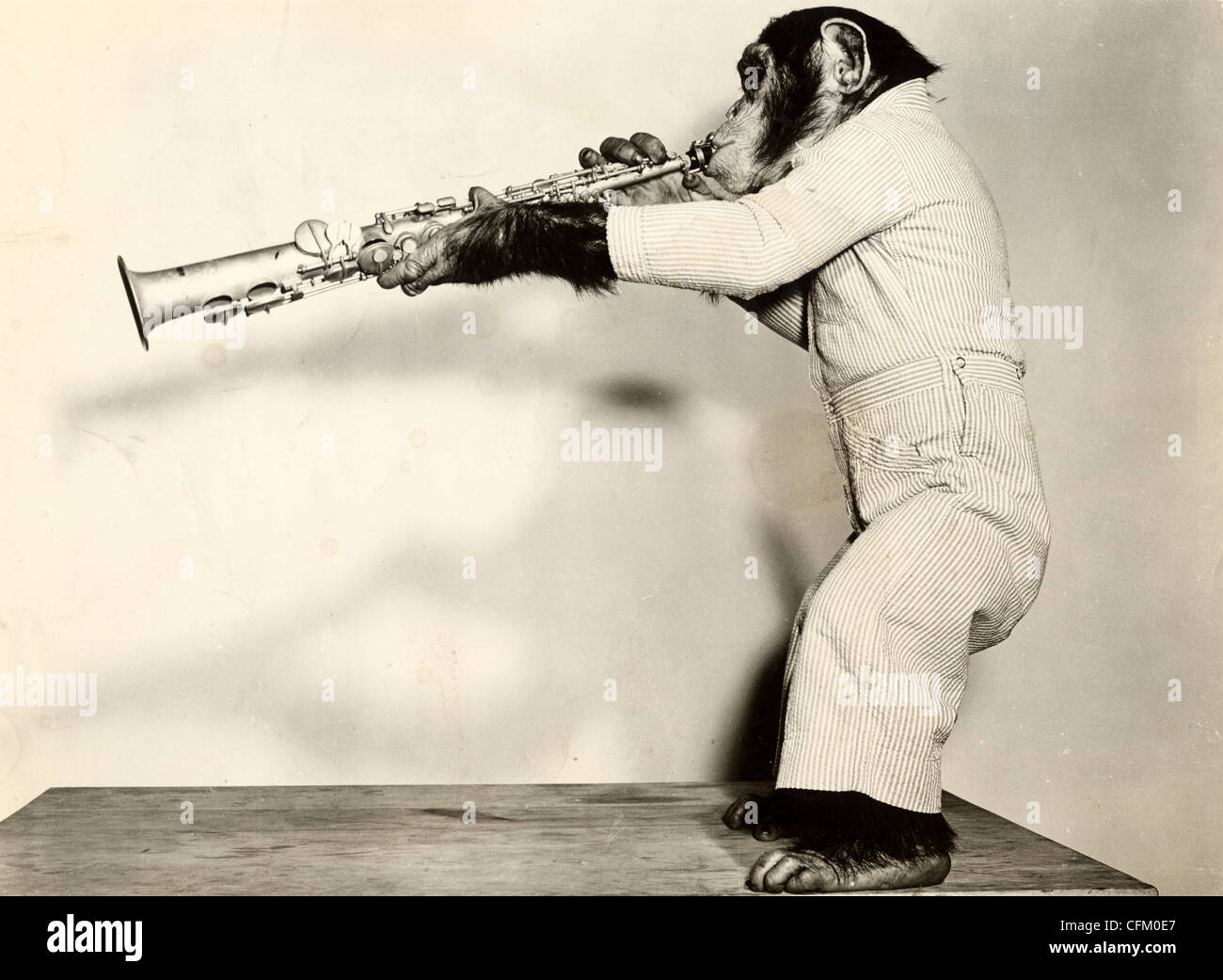 Oboe instrument hi-res stock photography and images - Alamy