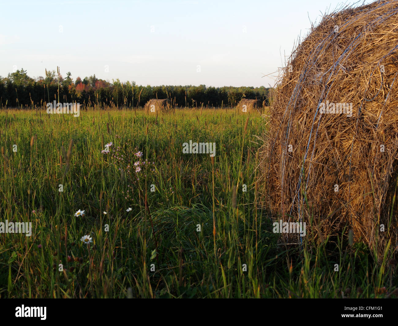 Farm ontario field hi-res stock photography and images - Alamy