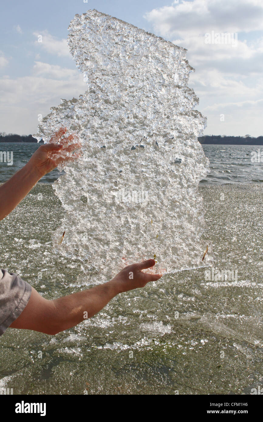 A man holding a large chunk of ice from the surface of thawing Lake ...