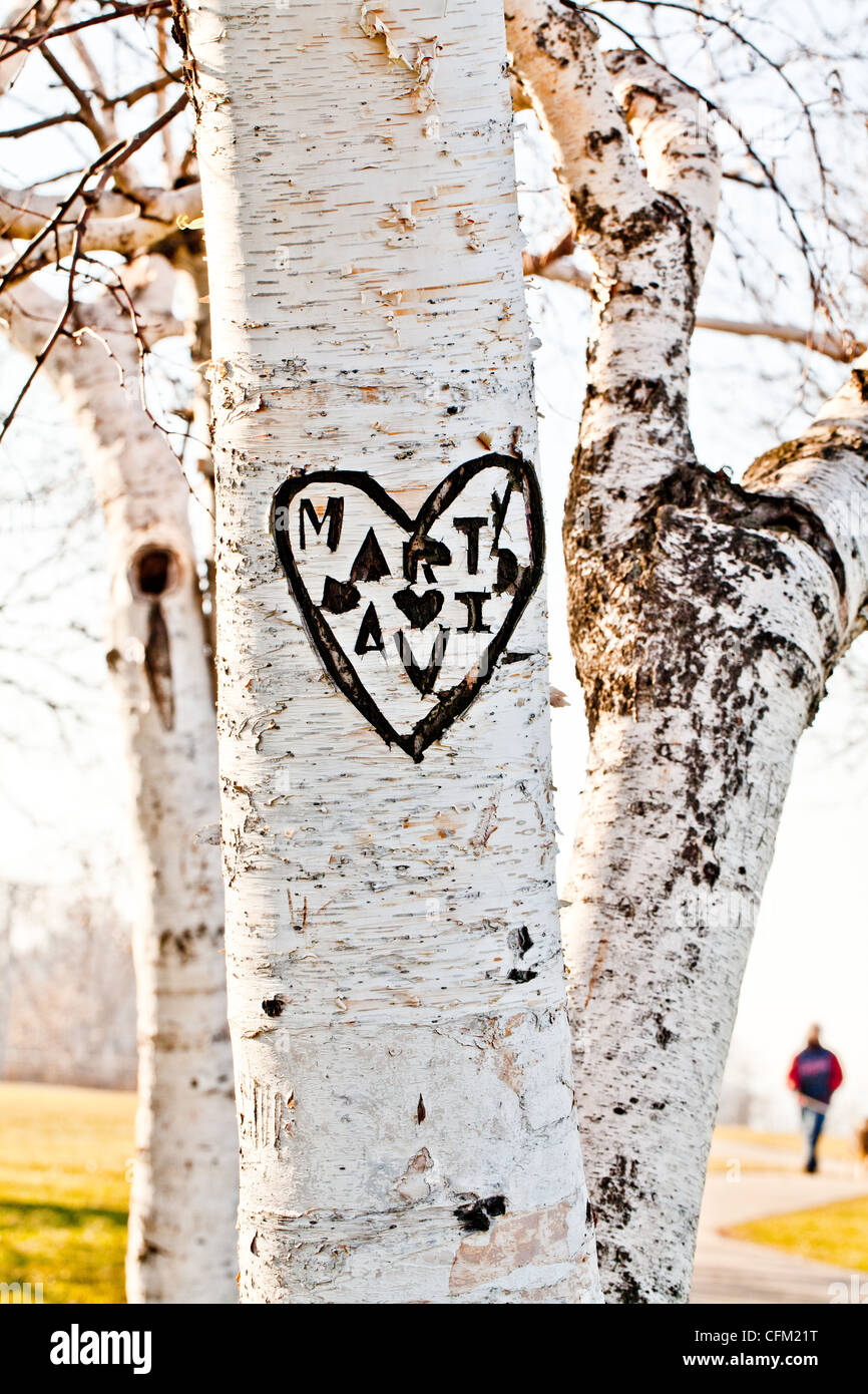 valentine heart carved in birch tree in park - mens names carved inside ...
