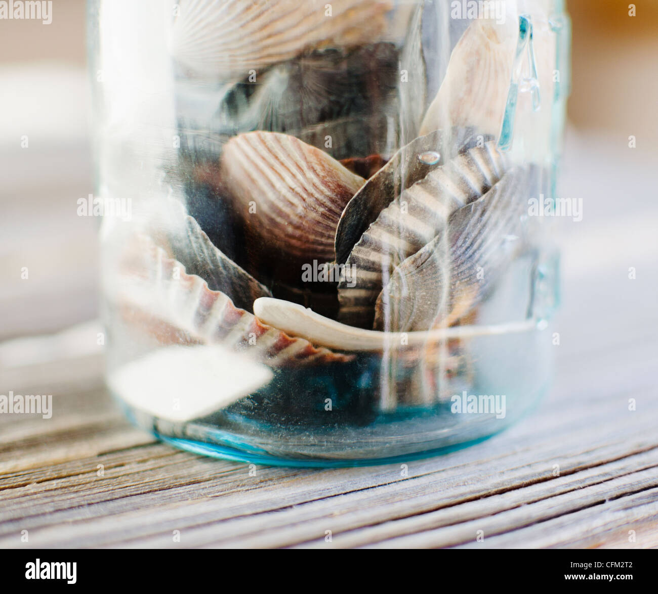 USA, New York State, New York City, Brooklyn, Shells in jar Stock Photo ...