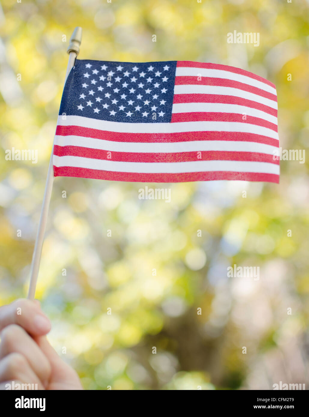 USA, New York State, New York City, Brooklyn, hand holding American ...