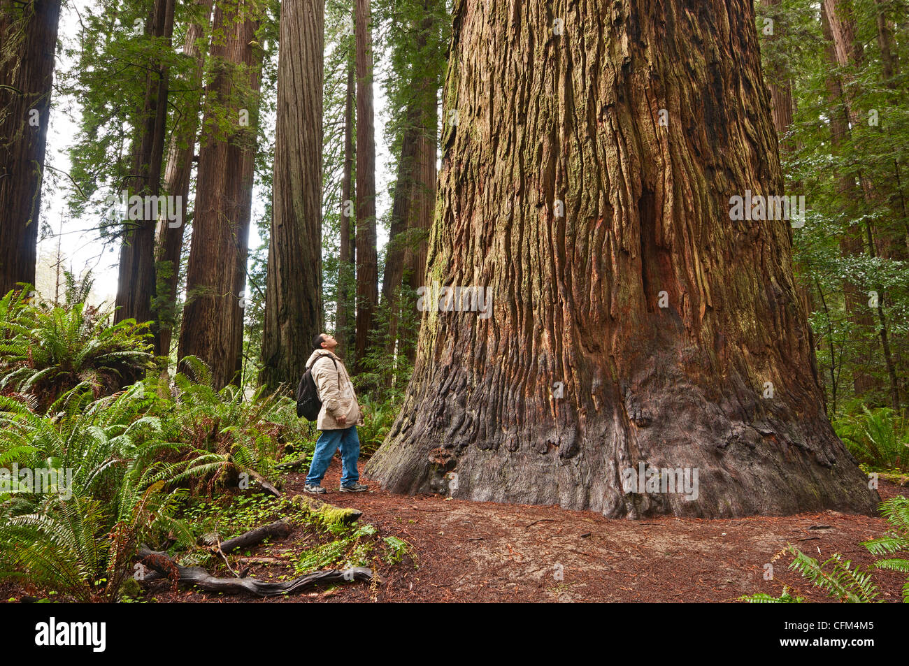 Cfm4m5 hi-res stock photography and images - Alamy