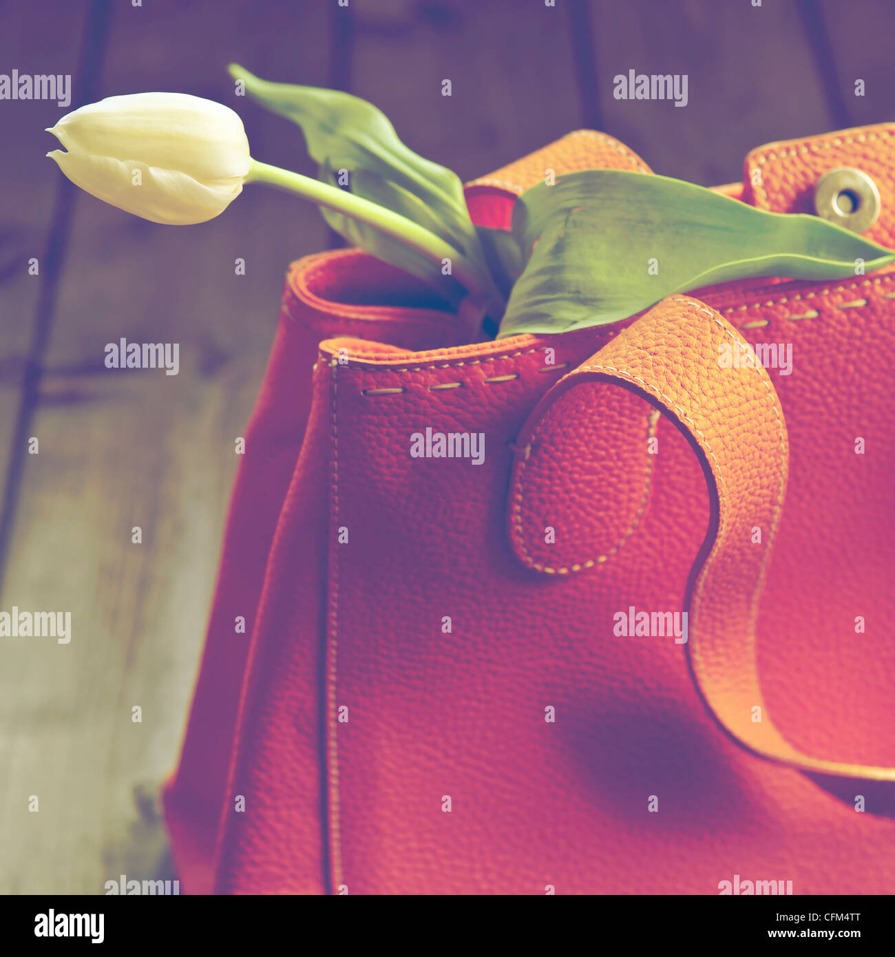 a tulip in a handbag Stock Photo - Alamy