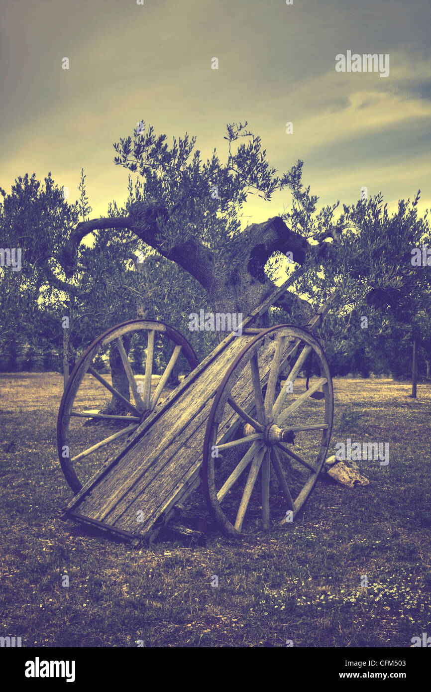 Old fashioned cart hi-res stock photography and images - Alamy