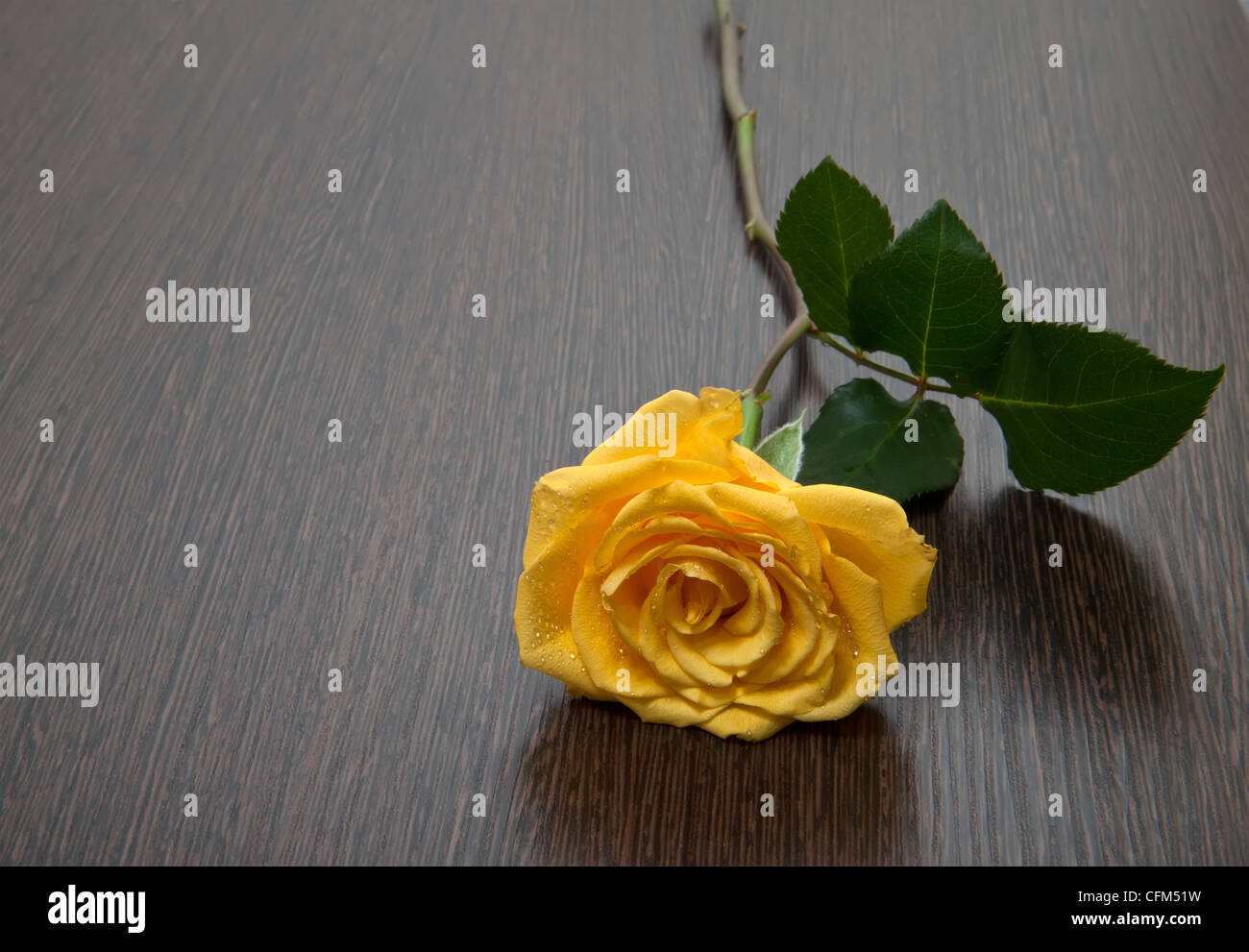 Yellow rose on a wooden table Stock Photo - Alamy