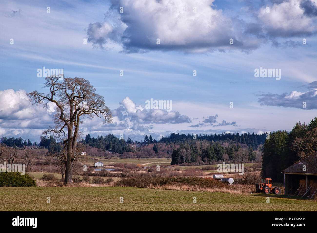 A farm on Vancouver Island. Canada Stock Photo - Alamy