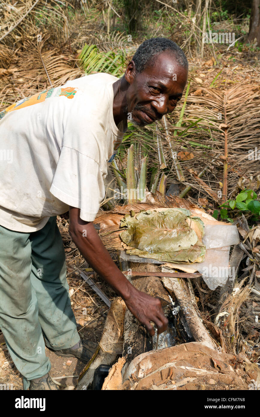 Palm wine hi-res stock photography and images - Alamy