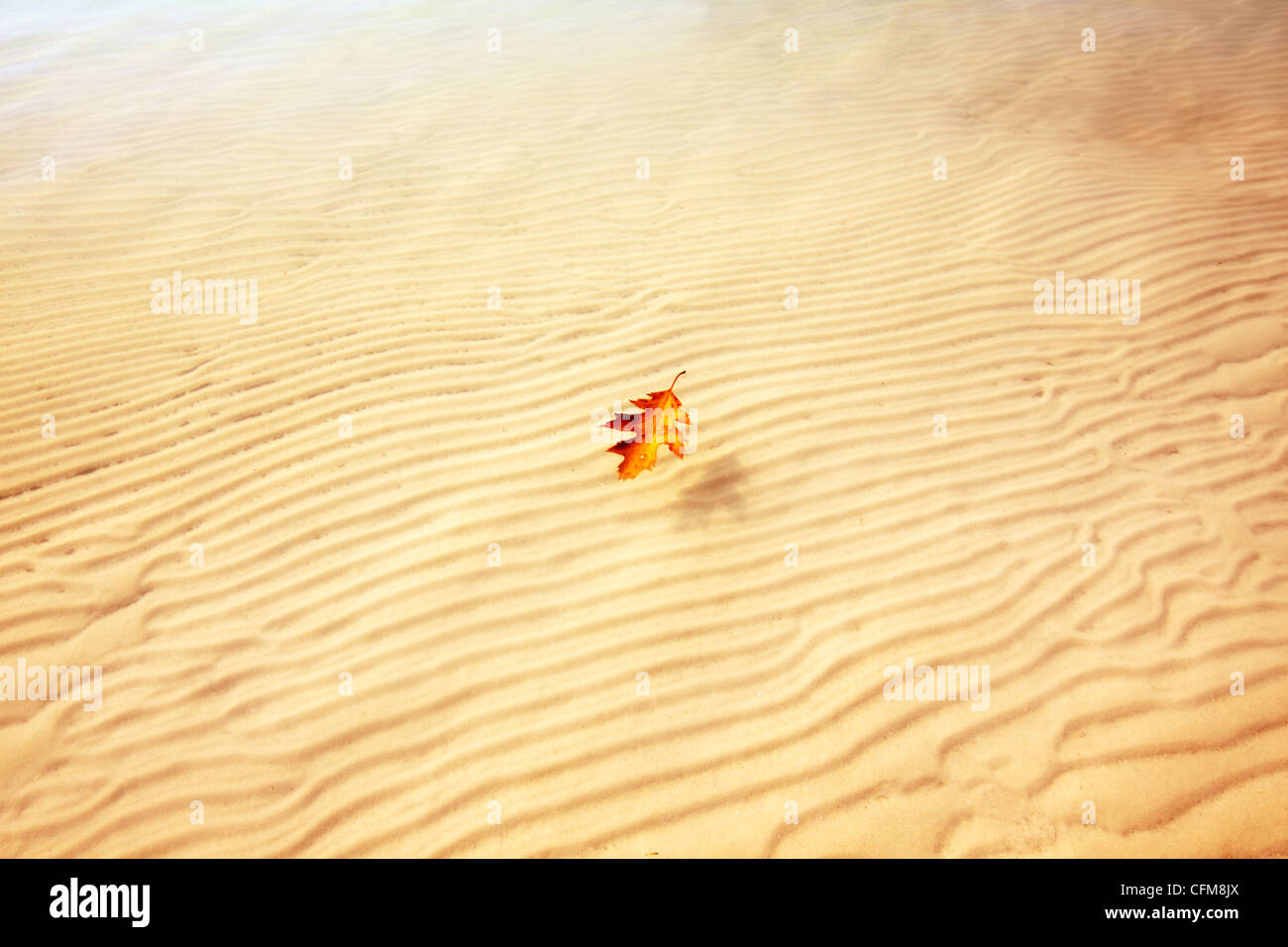 Wave leaf hi-res stock photography and images - Alamy