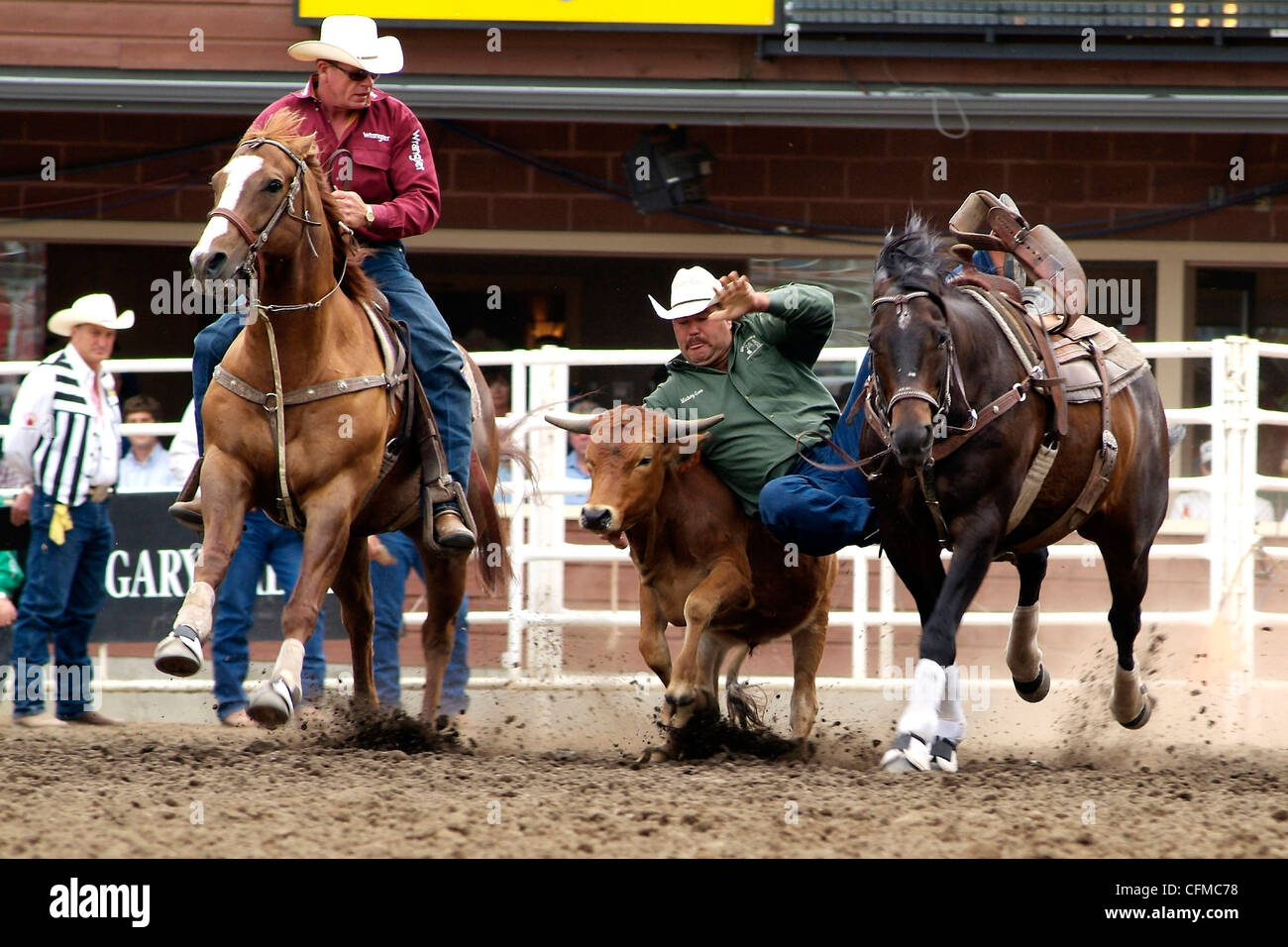 Calgary stampede rodeo alberta hi-res stock photography and images - Alamy