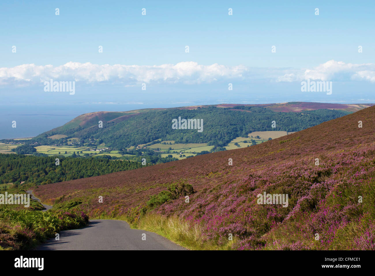 Exmoor National Park near Porlock, Somerset, England, United Kingdom ...
