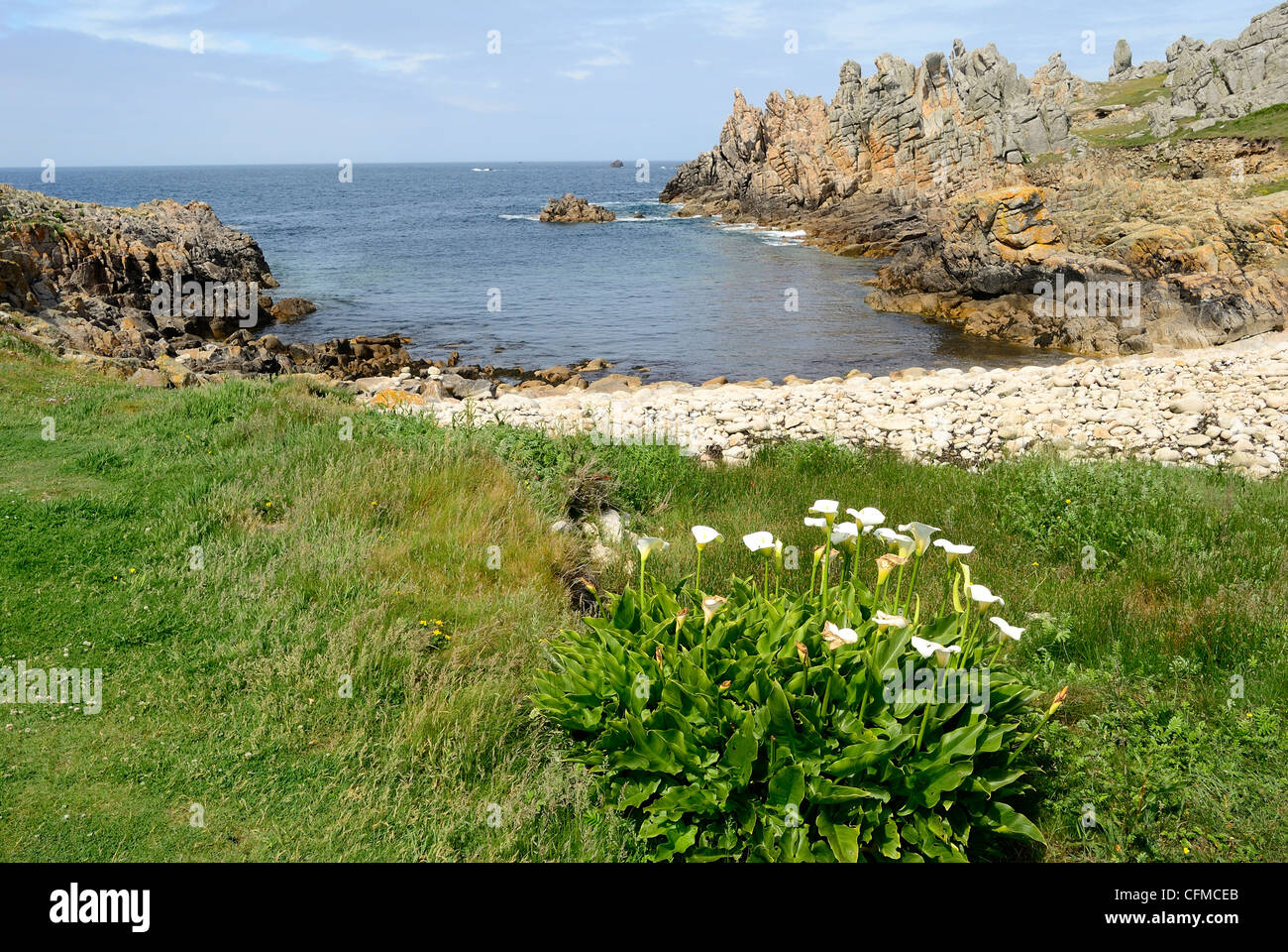 Ushant island, Brittany, France, Europe Stock Photo - Alamy