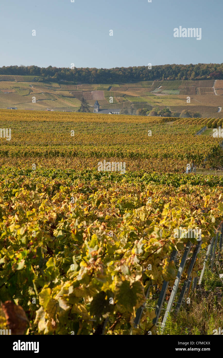 Champagne ardenne hi-res stock photography and images - Alamy