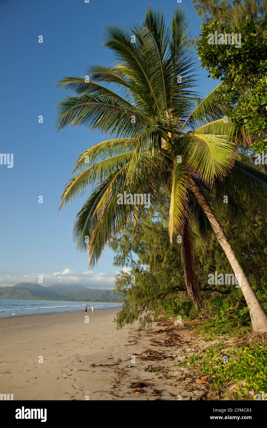 Four Mile Beach with coconut palm trees, Port Douglas, Queensland ...