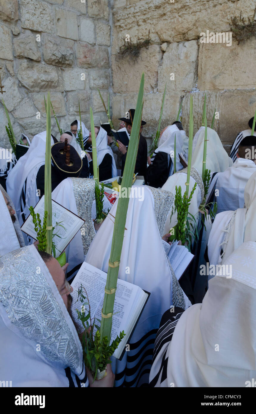 Sukkot celebrations with Lulav, Western Wall, Old City, Jerusalem ...