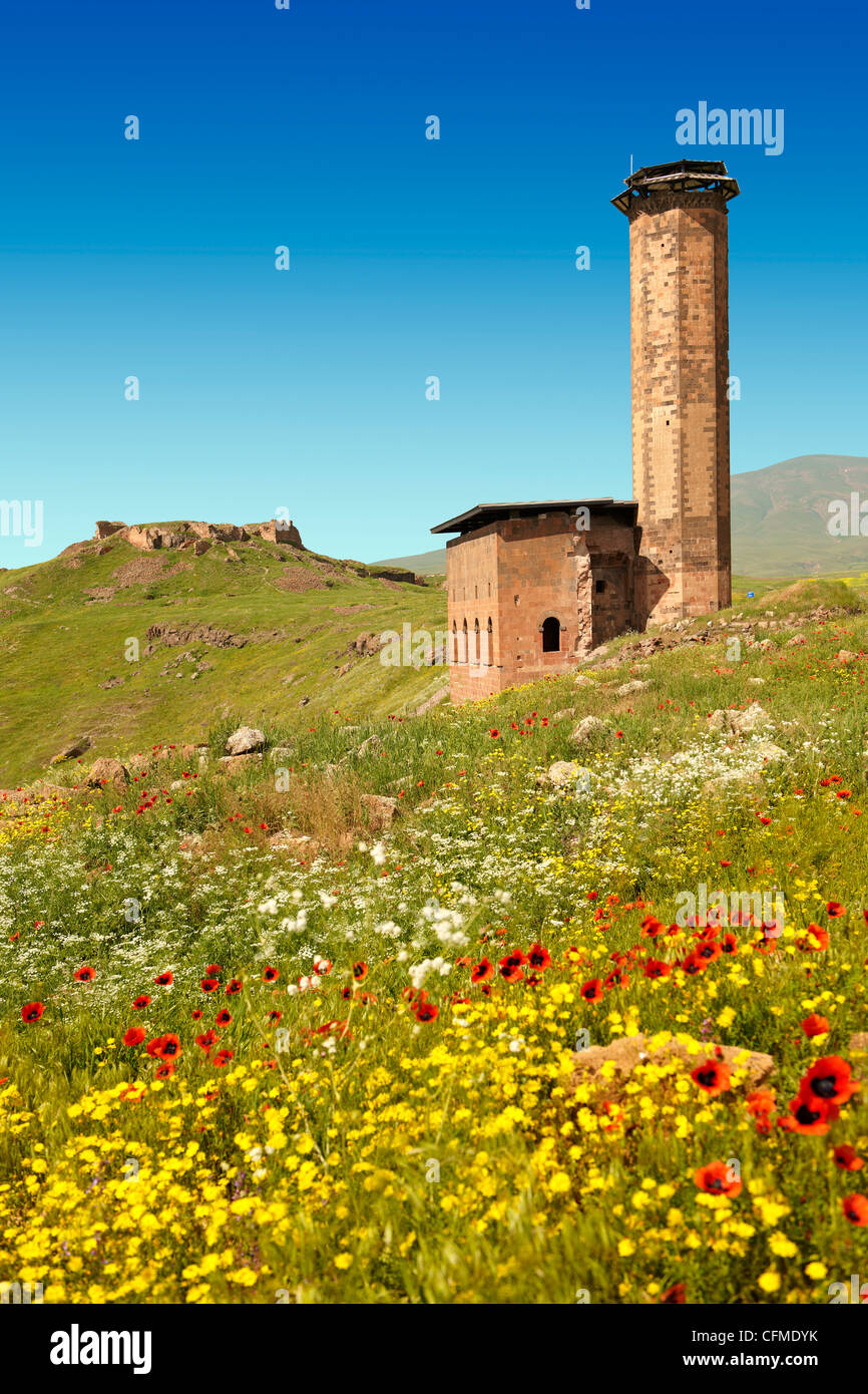 Ani turkey hi-res stock photography and images - Alamy