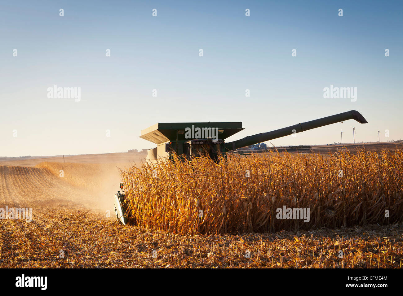 USA, Iowa, Latimer, Combine harvester harvesting corn Stock Photo - Alamy
