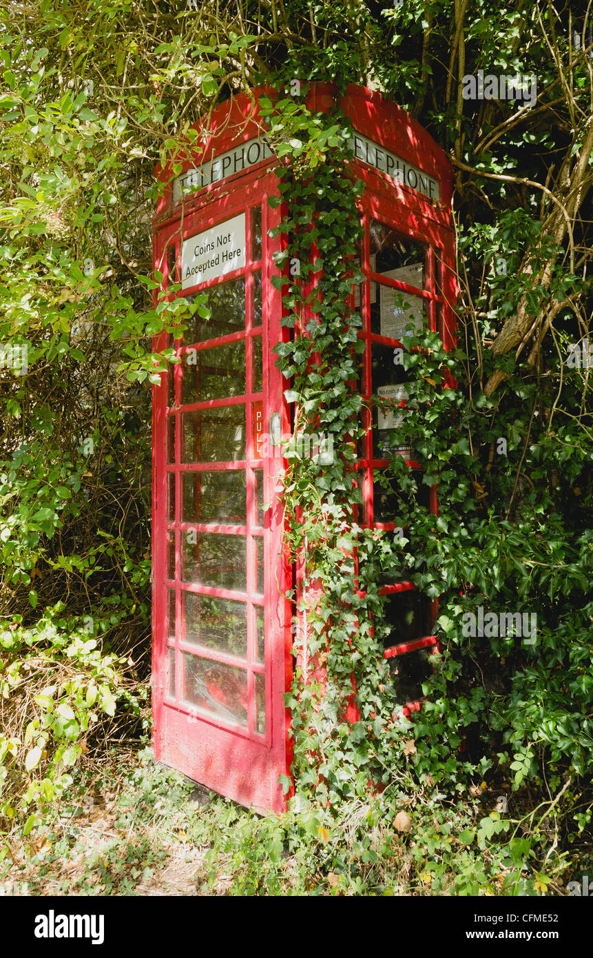 Overgrown telephone box, England, United Kingdom, Europe Stock Photo ...