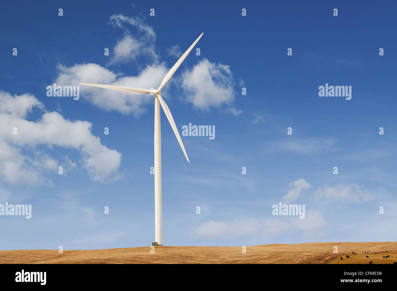 USA, Iowa, Latimer, Wind turbine Stock Photo - Alamy