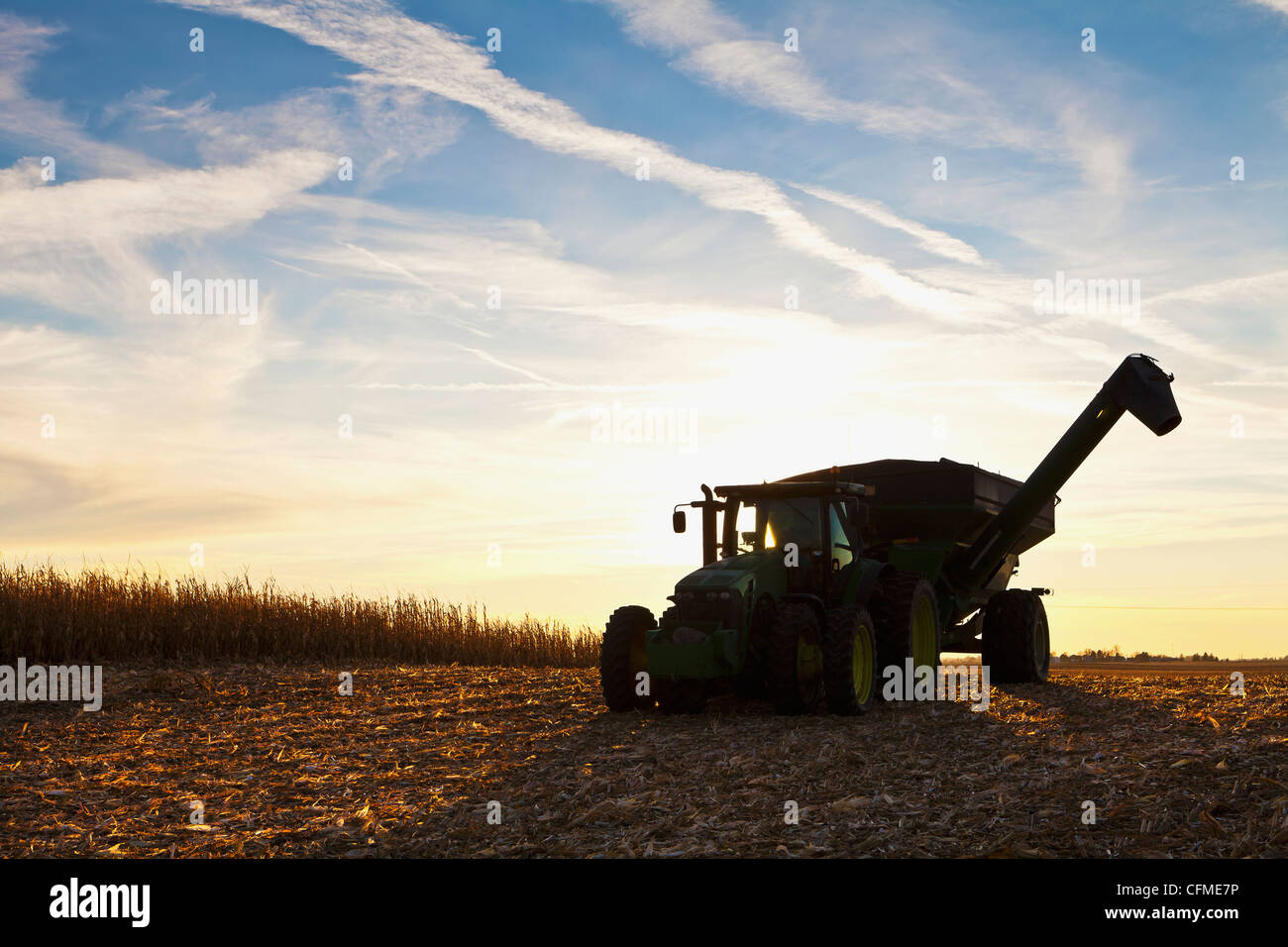 Combine harvesting corn field close hi-res stock photography and images ...