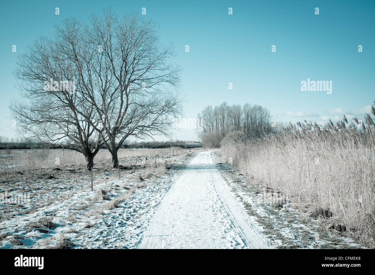 Winter scenes in Ballerup, near Copenhagen, Denmark Stock Photo - Alamy