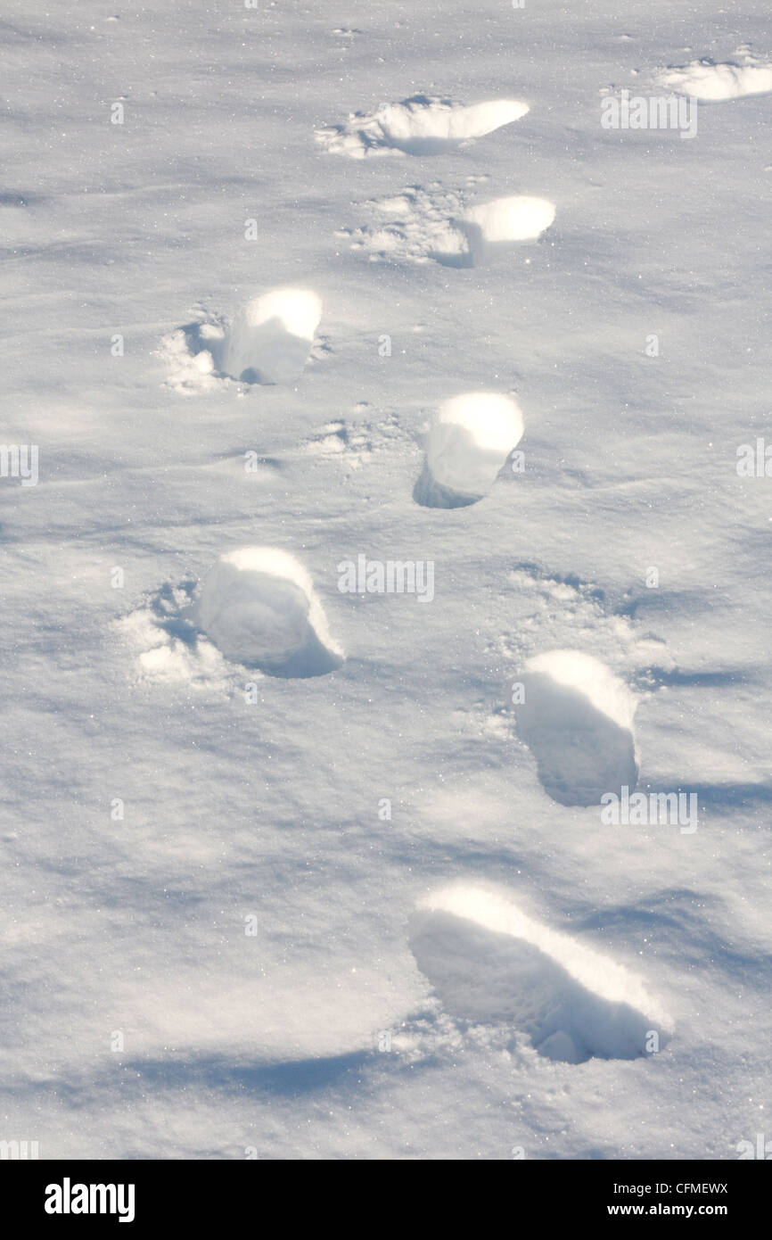 Single foot step hi-res stock photography and images - Alamy