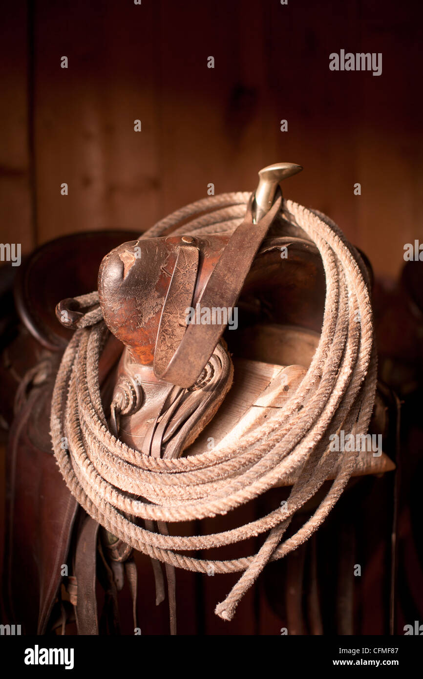 USA, Colorado, Close-up of saddle with rope Stock Photo - Alamy