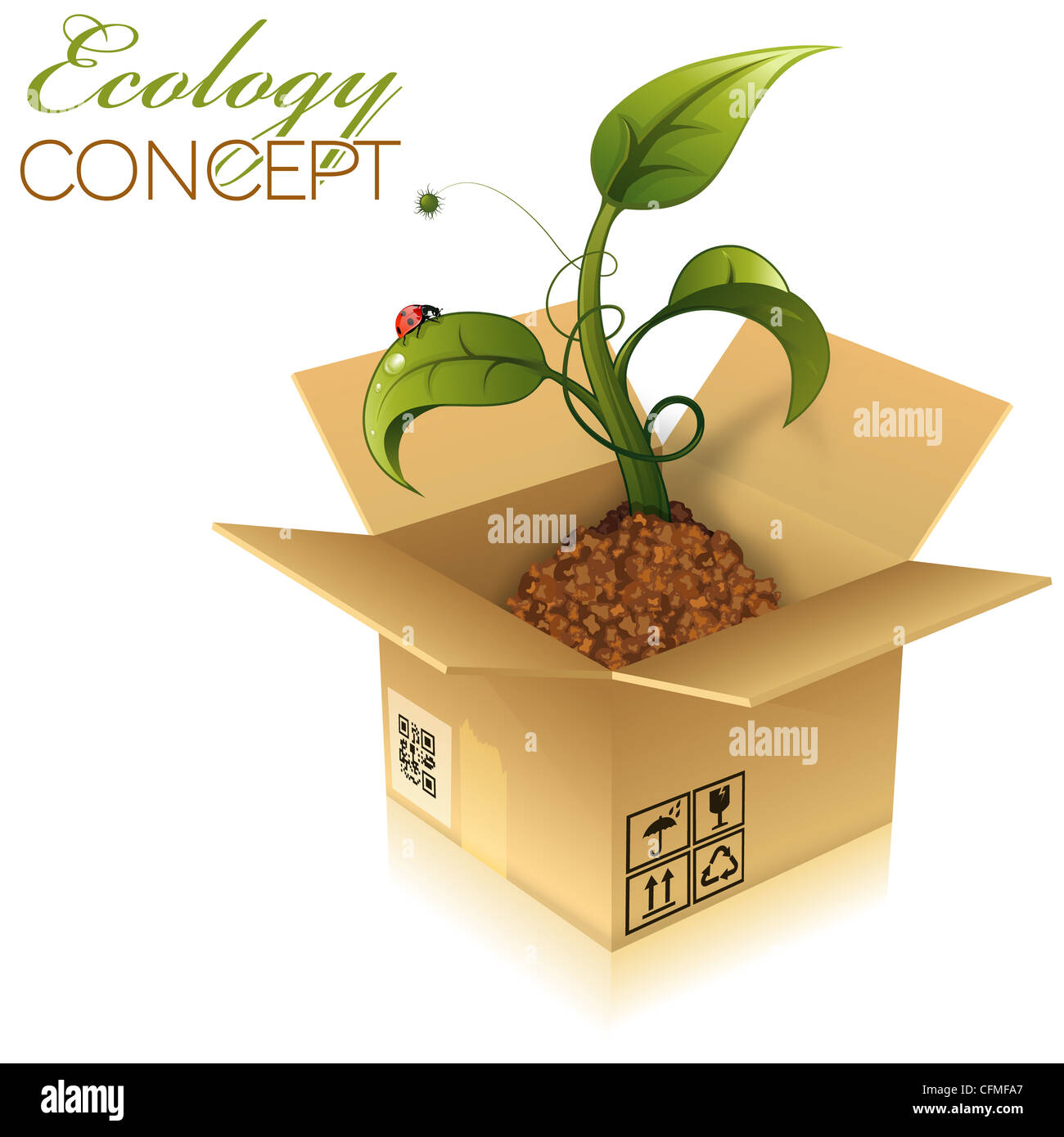 Open Cardboard Box with the Sprout and Ladybug, vector illustration ...
