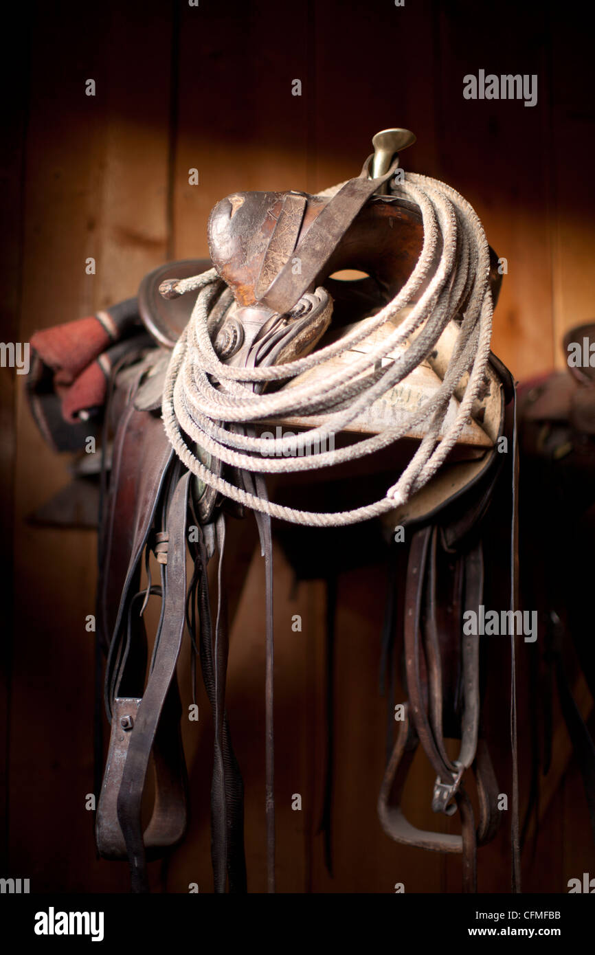 Lasso saddle hi-res stock photography and images - Alamy