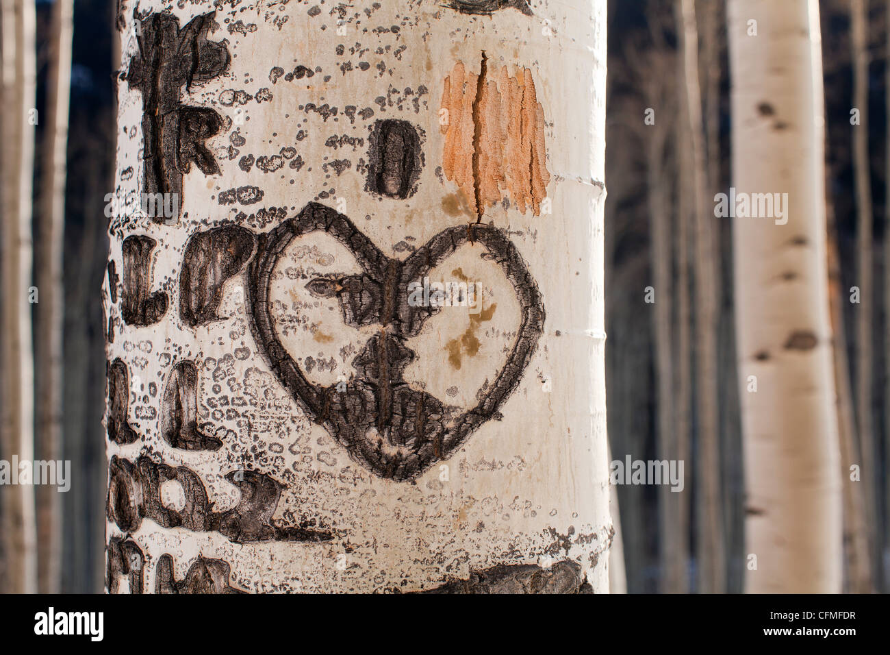 Carved aspen hi-res stock photography and images - Alamy