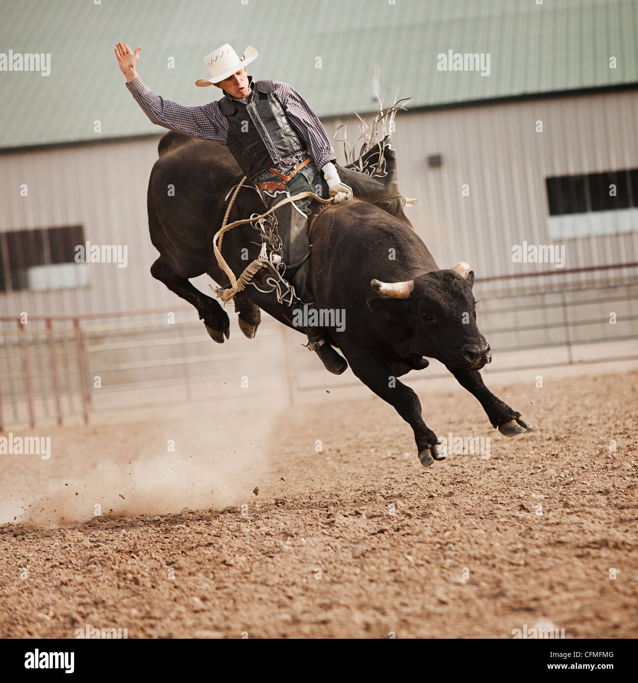 Highland bull hi-res stock photography and images - Alamy