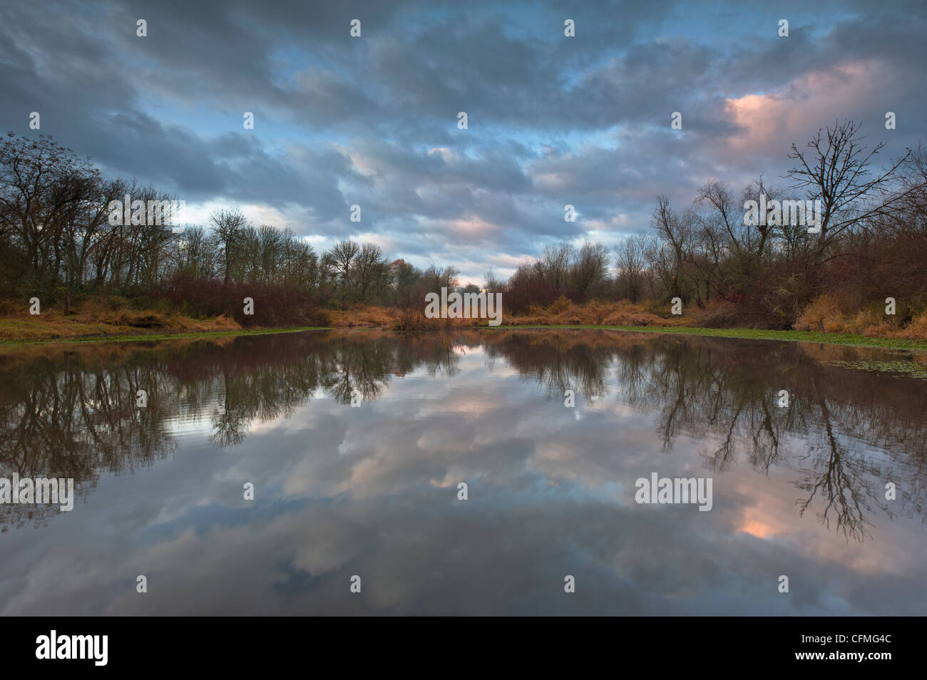USA, Oregon, Marion County, Trees and clouds reflecting in lake Stock ...